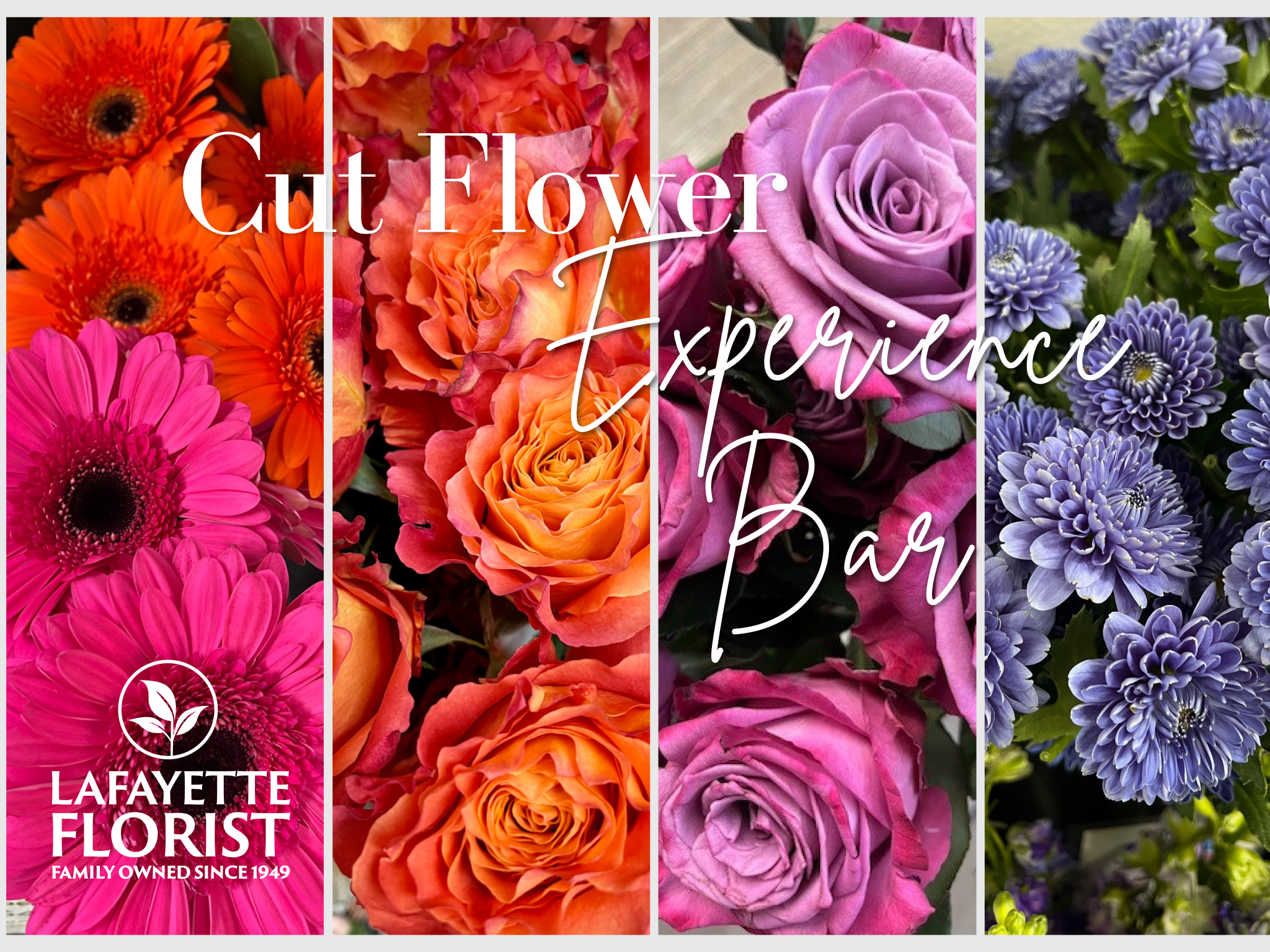 Bloom Through the Winter Blues: How Flowers Elevate Your Mood Naturally ...